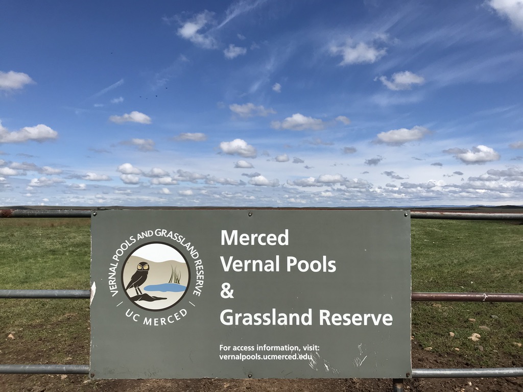 MVPGR Gallery | Merced Vernal Pools & Grassland Reserve